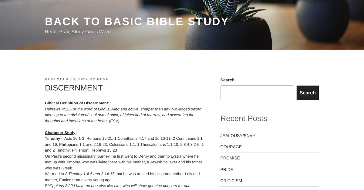 DISCERNMENT – Back to Basic Bible Study